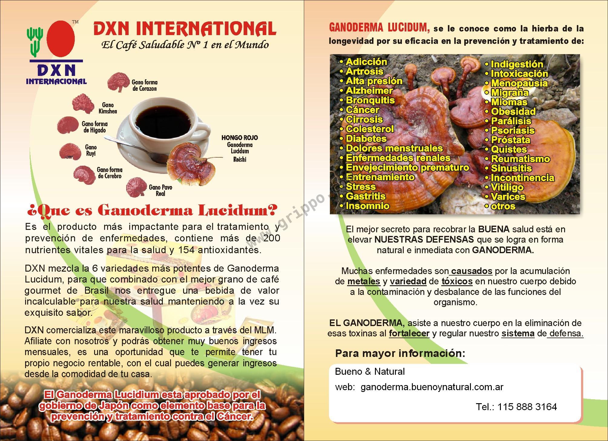 Beneficios De La Ganoderma En Café